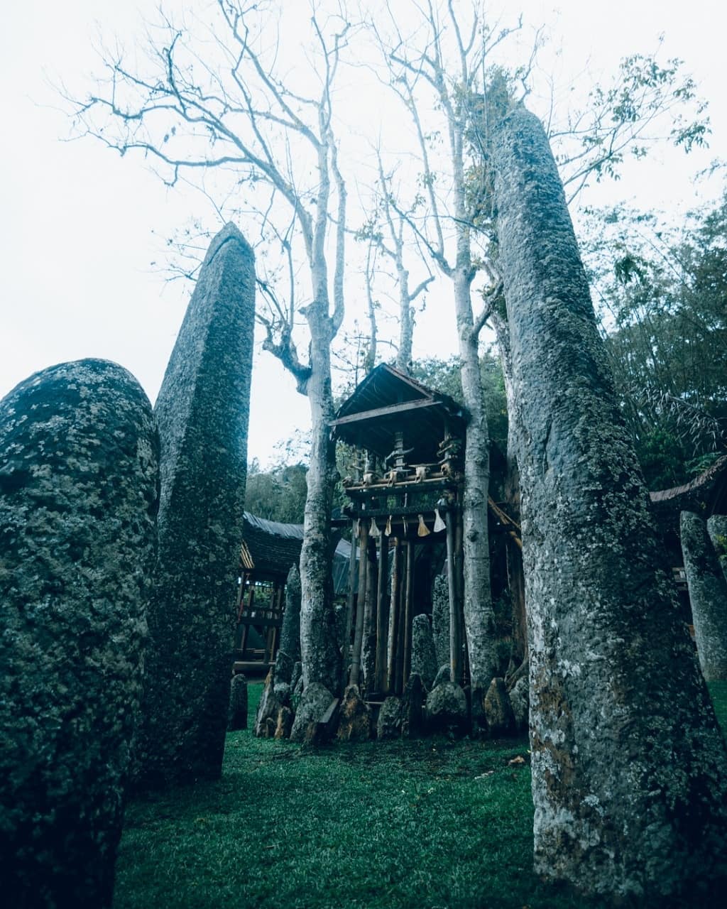 Toraja dikenal dengan panorama alam yang masih terjaga dan obyek wisata ...
